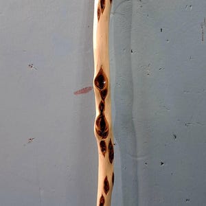 Diamond Willow Walking Stick / Staff / Hiking Stick - Etsy