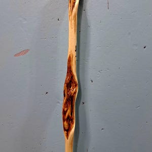 Diamond Willow Kids Walking Stick / Hiking Stick / Short Stick - Etsy