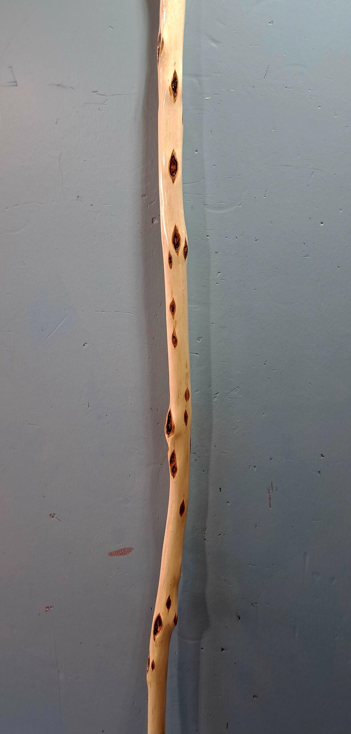 Diamond Willow Walking Stick / Staff / Hiking Stick - Etsy