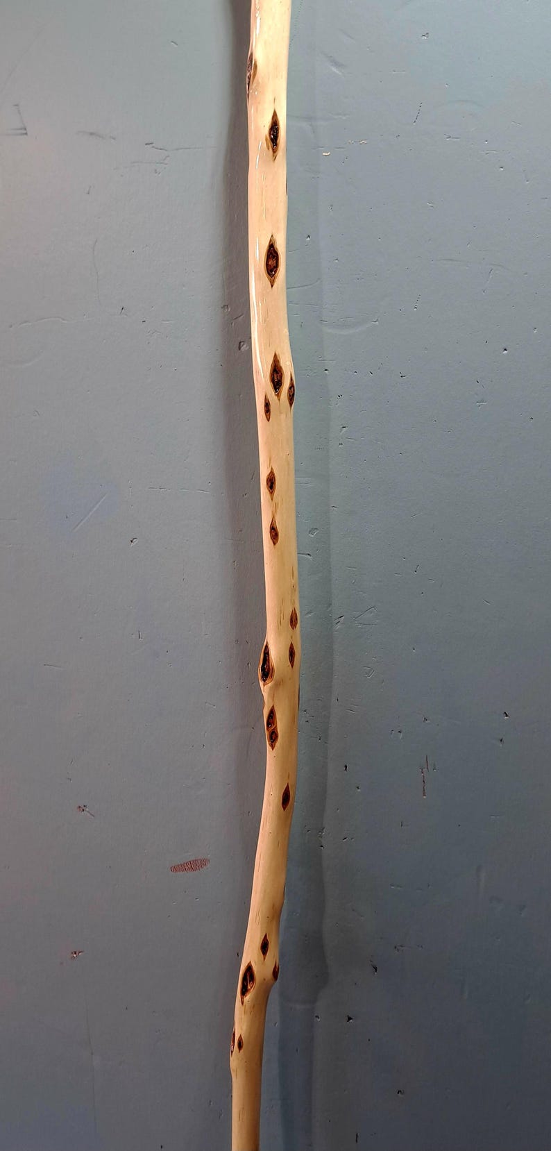 Diamond Willow Walking Stick / Staff / Hiking Stick - Etsy