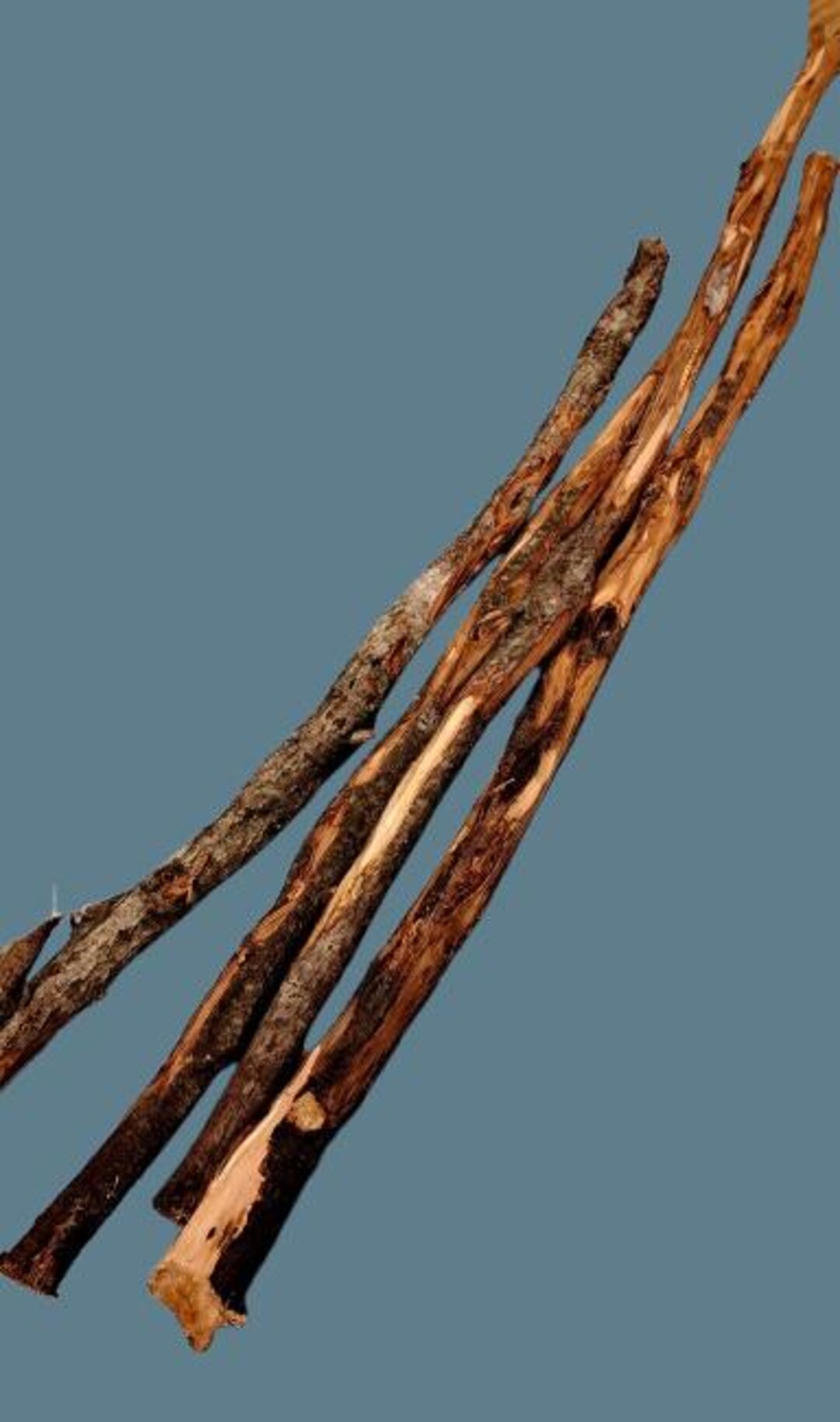 Diamond Willow Pieces **4 PACK** / Arts / Crafts / Decorations - Etsy