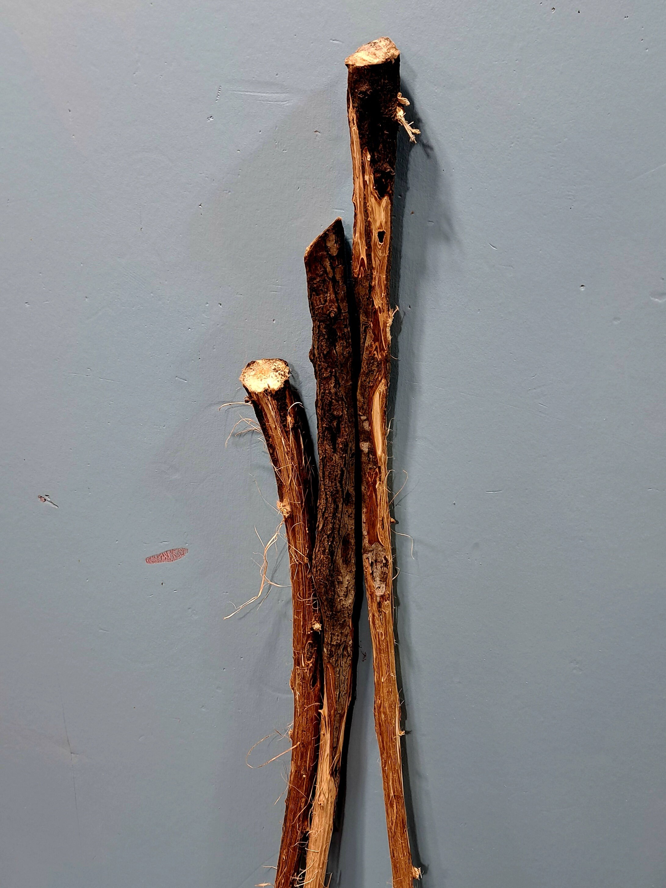 Diamond Willow Kids Blank Walking Sticks / Cane Blanks / 3 Pack - Etsy