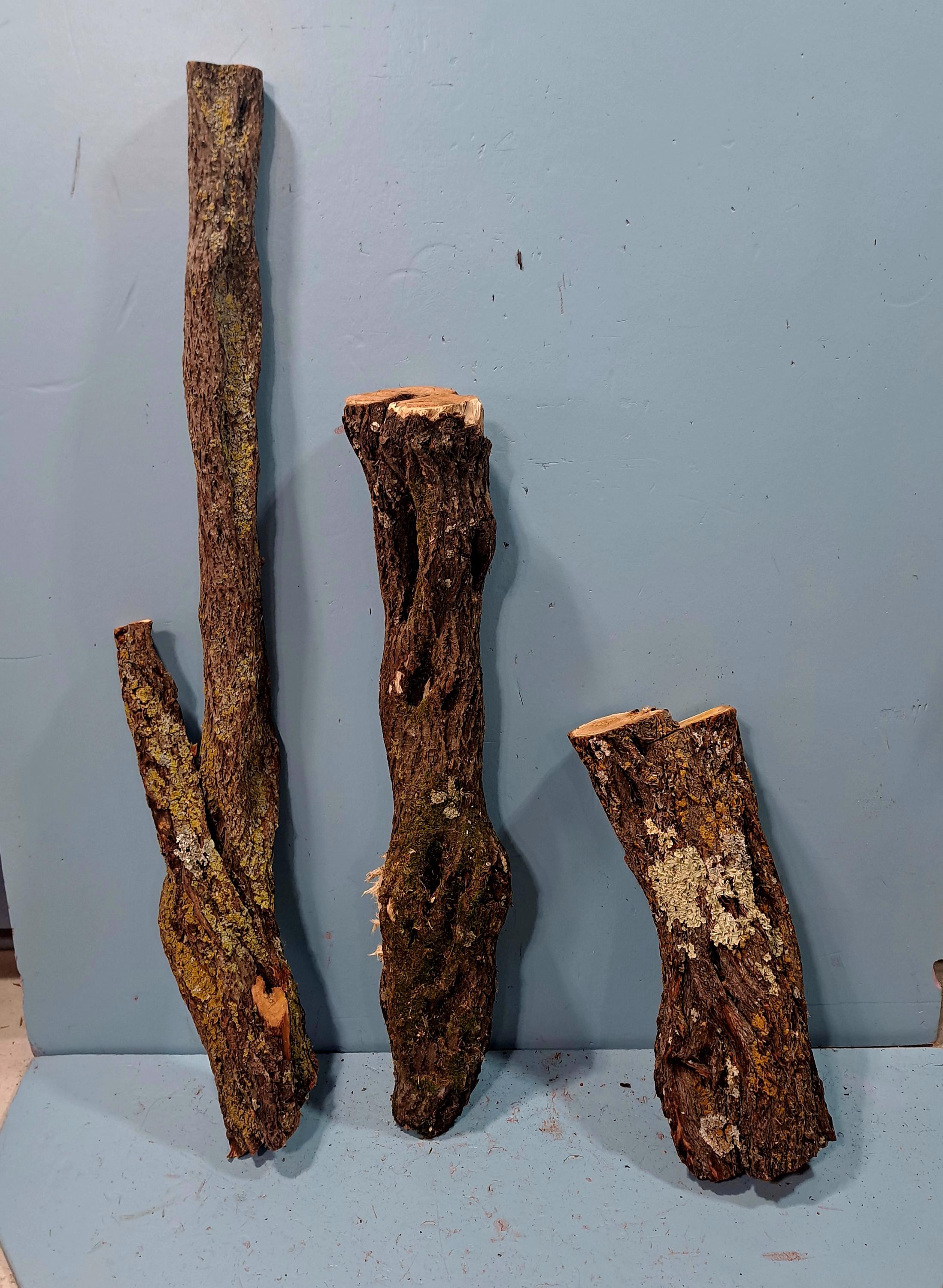 Diamond Willow Logs / Peices - Etsy