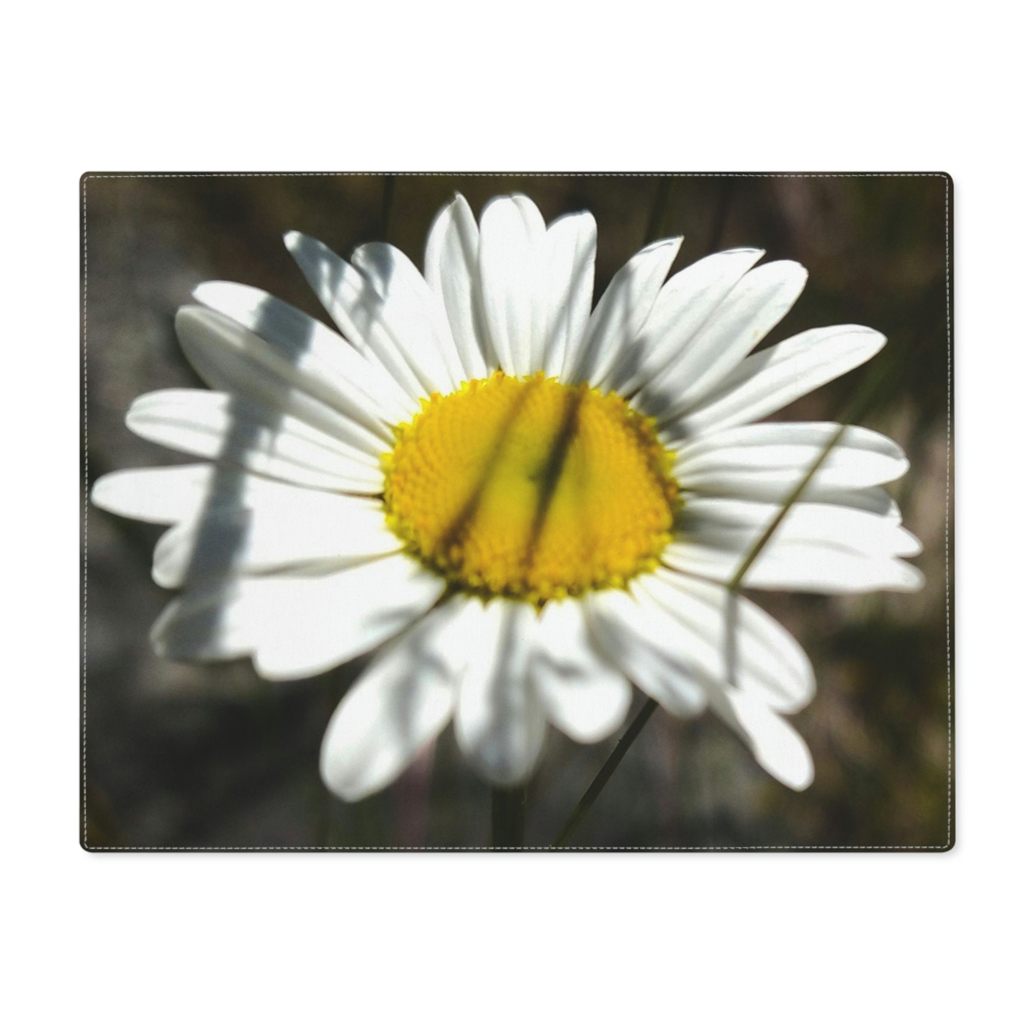 Beautiful Daisy Placemat for Your Dinner Table - Etsy