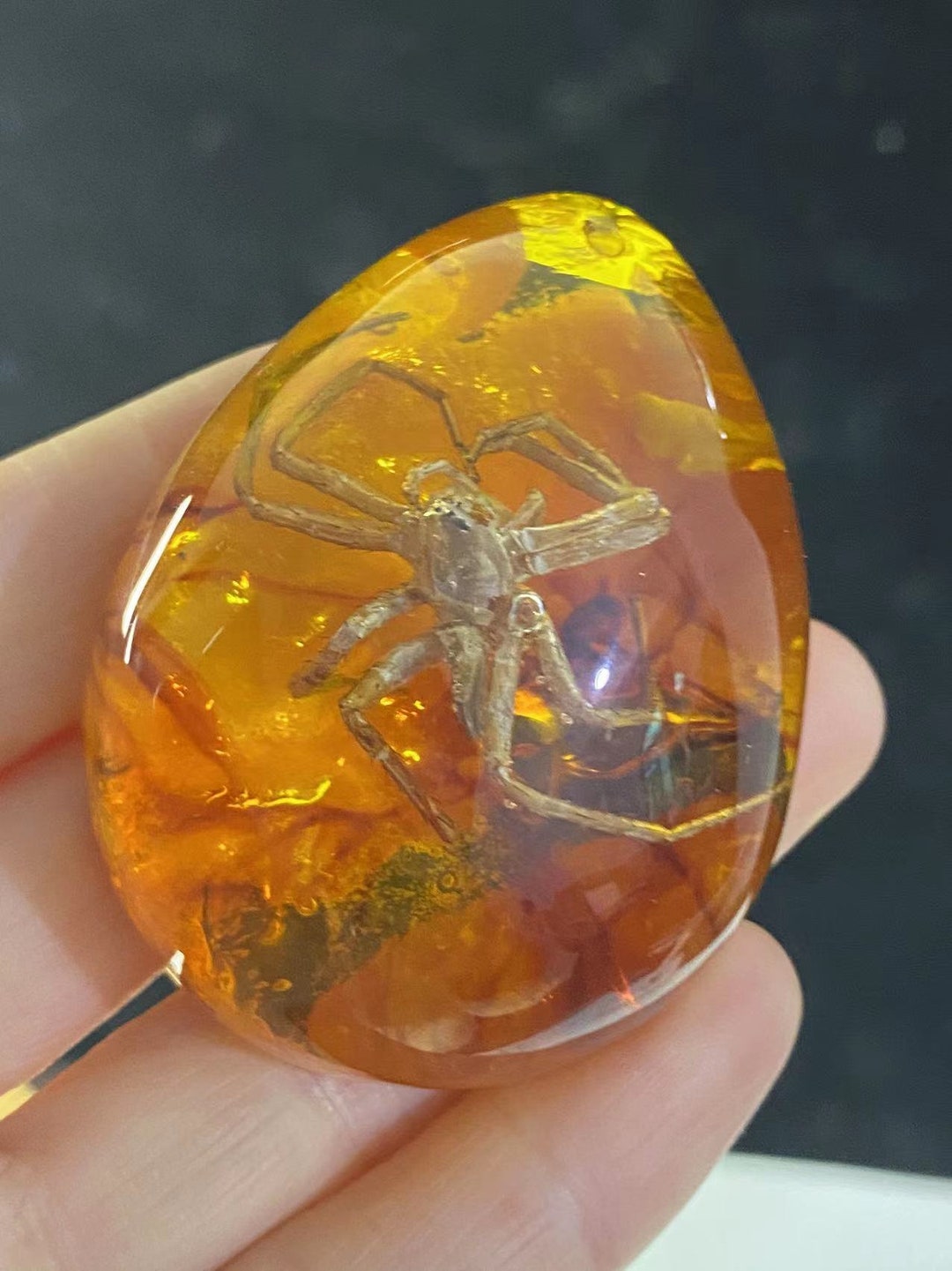 Real Natural Spider Taxidermy, Goth Punk Insect Animal in Resin Block ...