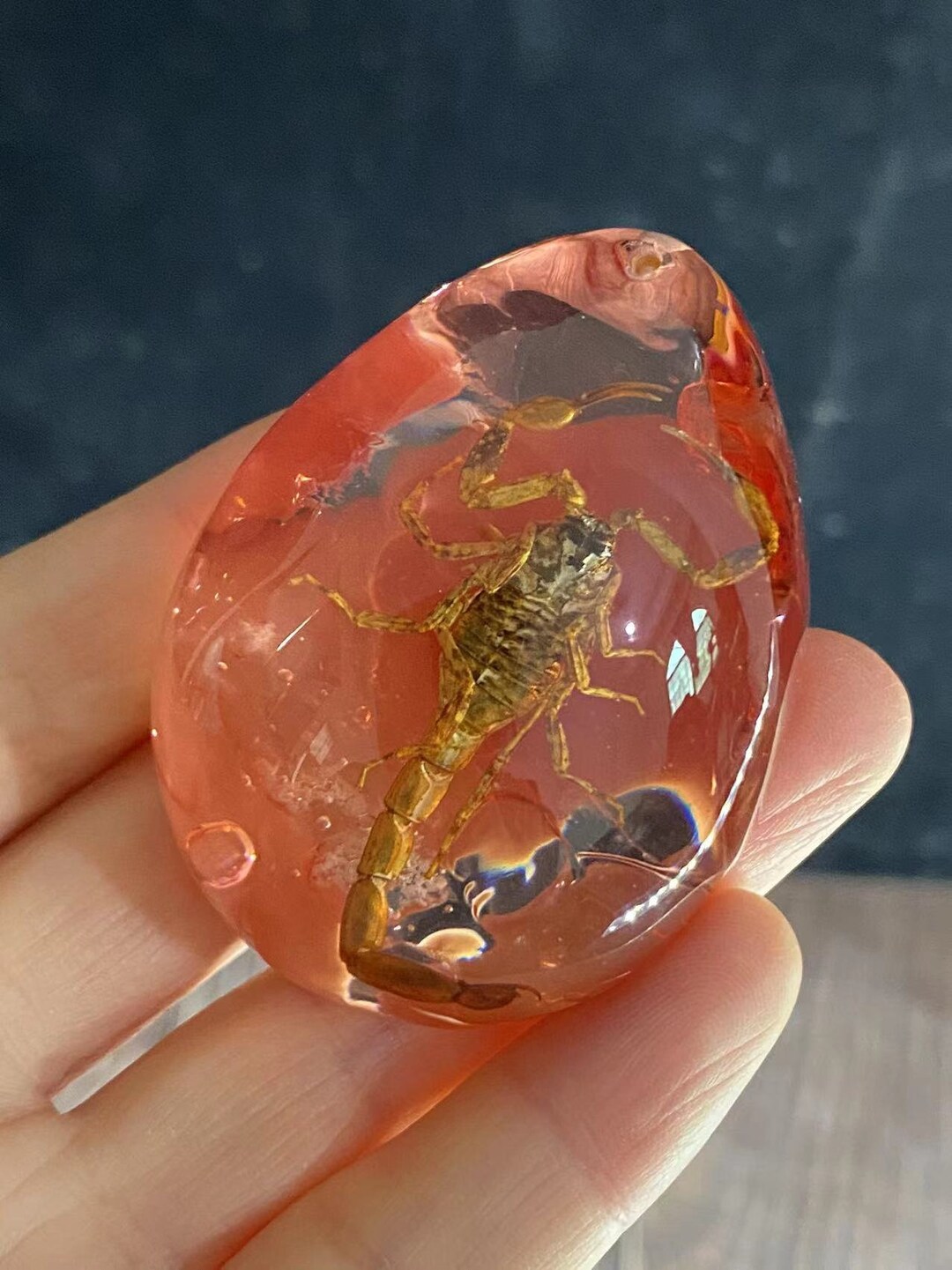 Scorpion Taxidermy in Resin Block Insect Charms Transparent Small ...