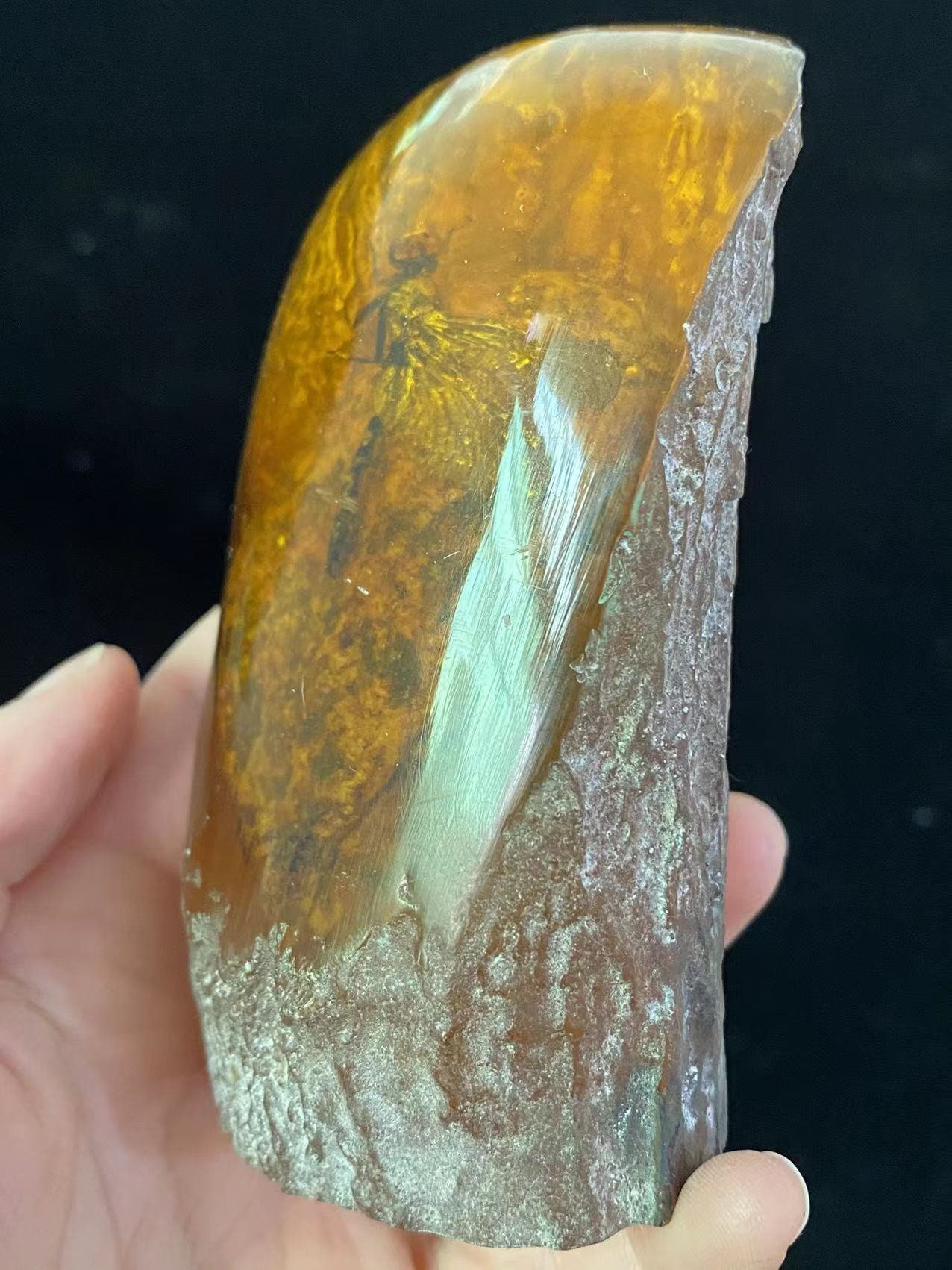 Real Natural Dragonfly Taxidermy in Resin Block Life Cycle - Etsy