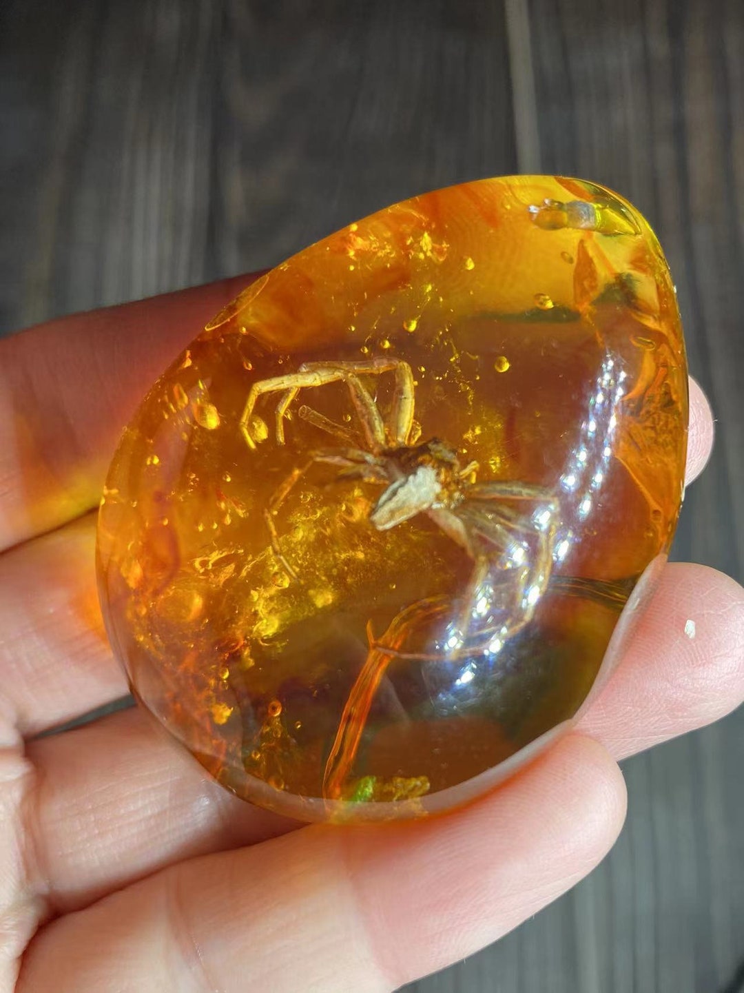 Real Spider Taxidermy,goth Punk Insect Animal in Resin Block ...