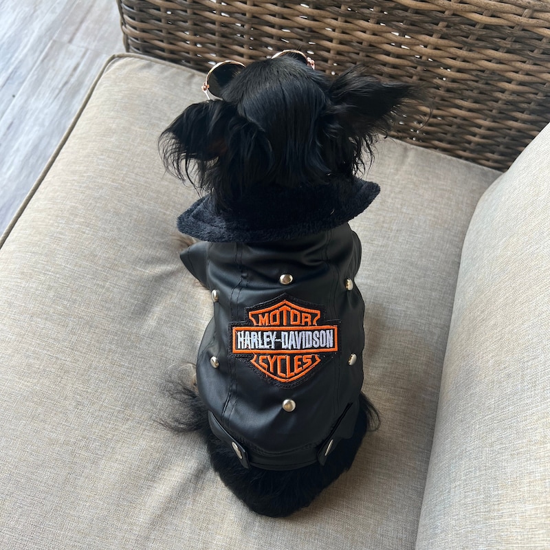 Harley Davidson Dog Clothes - Etsy