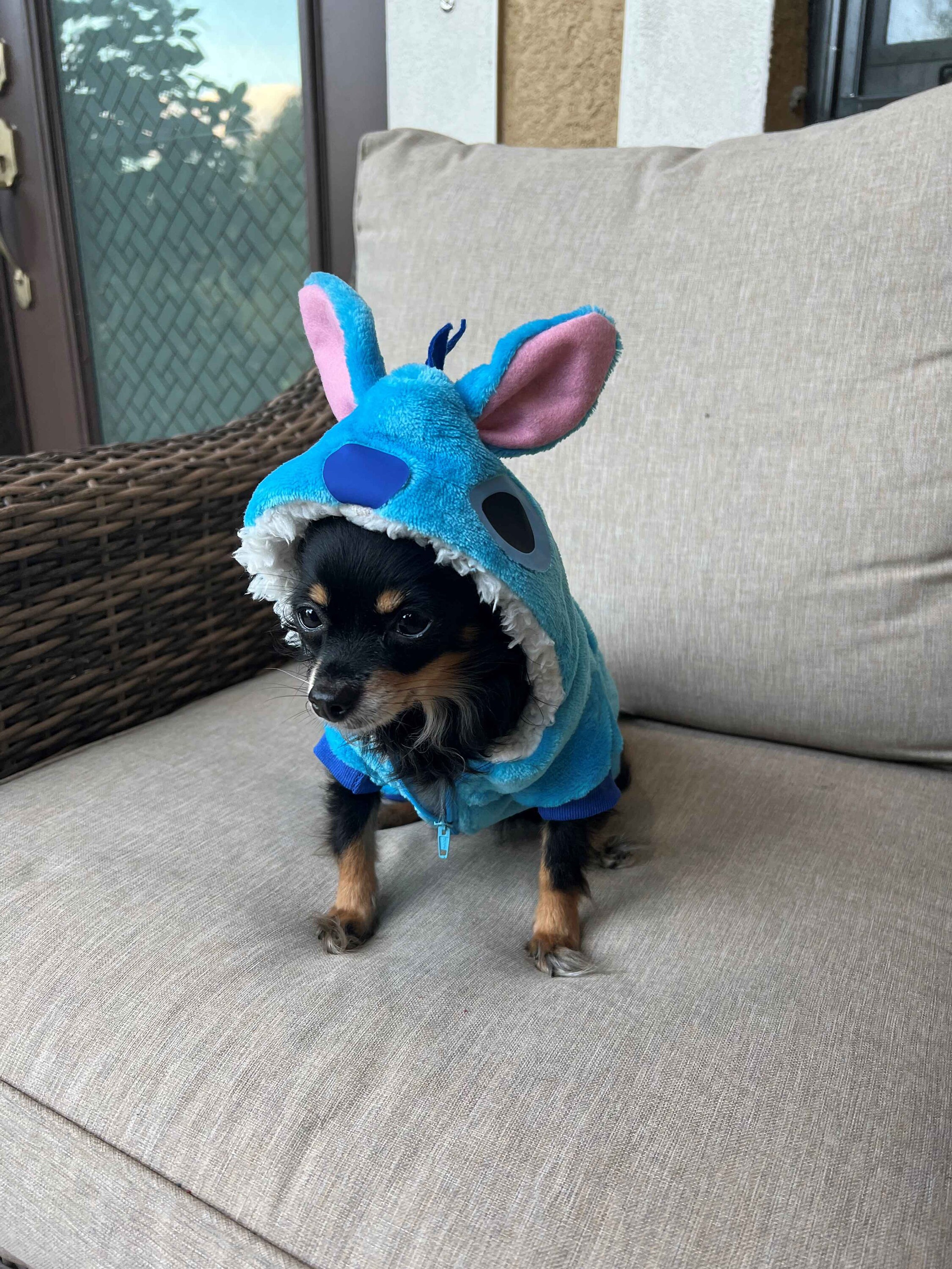 Stitch Dog Costume