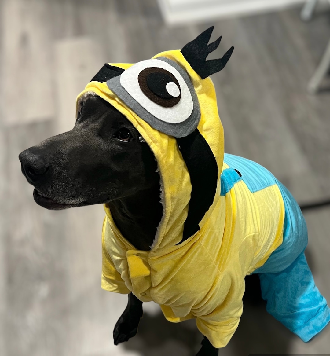 Minion Dog Costume: Handmade Jumpsuit Pet Outfit - Etsy