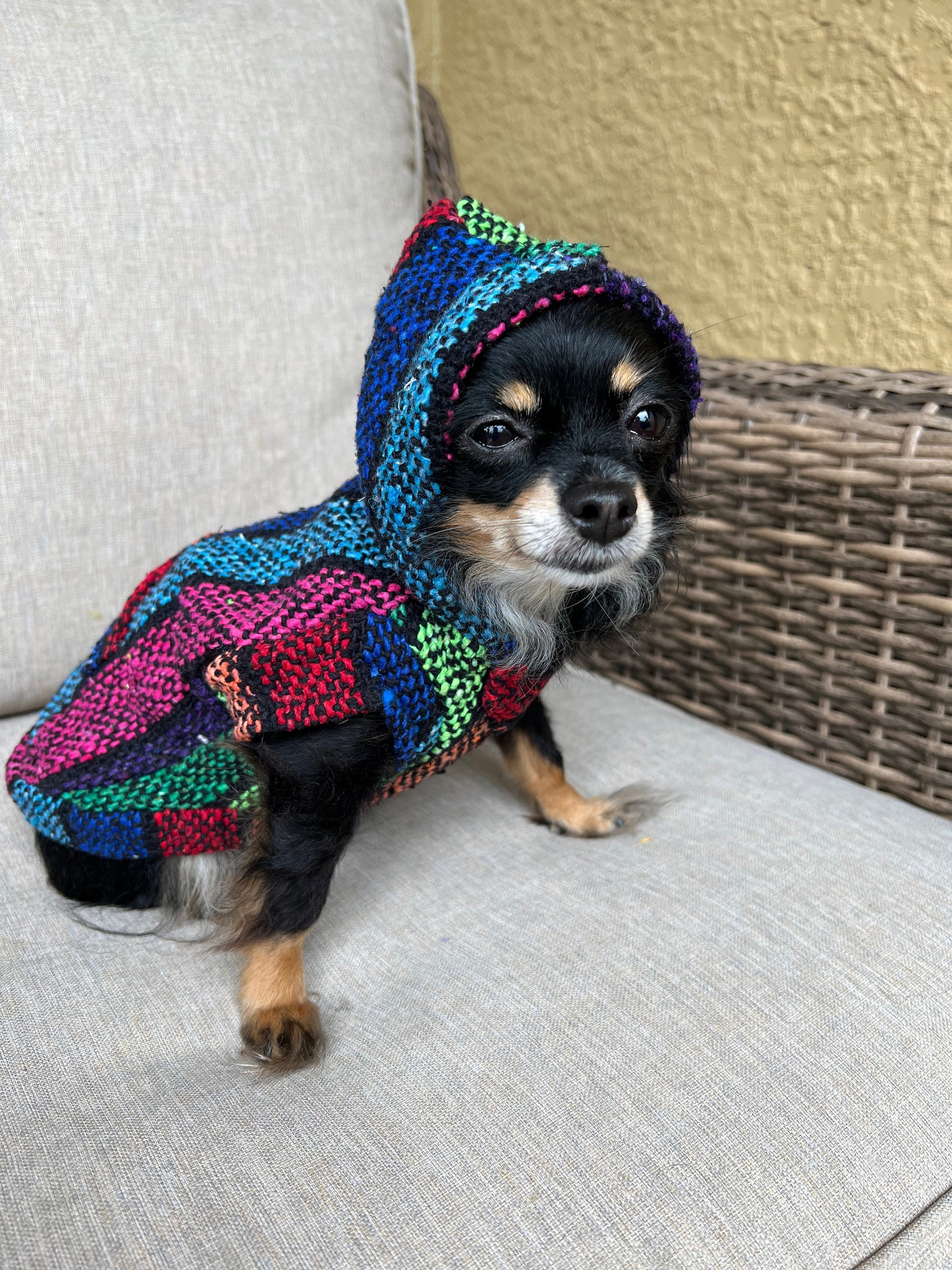 Baja Dog Poncho SIZE 4-mexican Dog Hoodie-mexican Poncho dog - Etsy