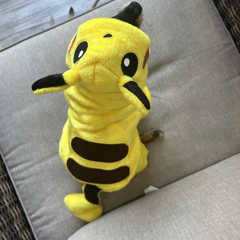 Pikachu Costume - Etsy