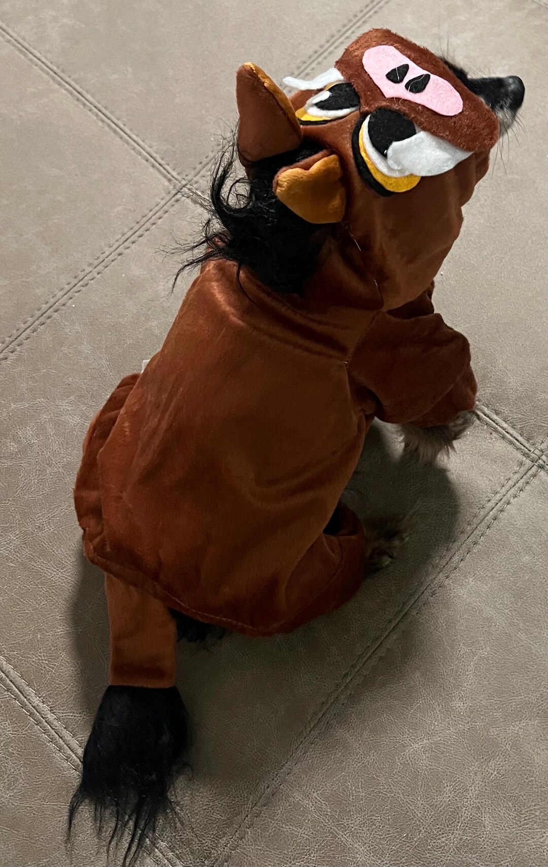 Handmade Pumbaa Dog Costume: Lion King Pet Costume - Etsy