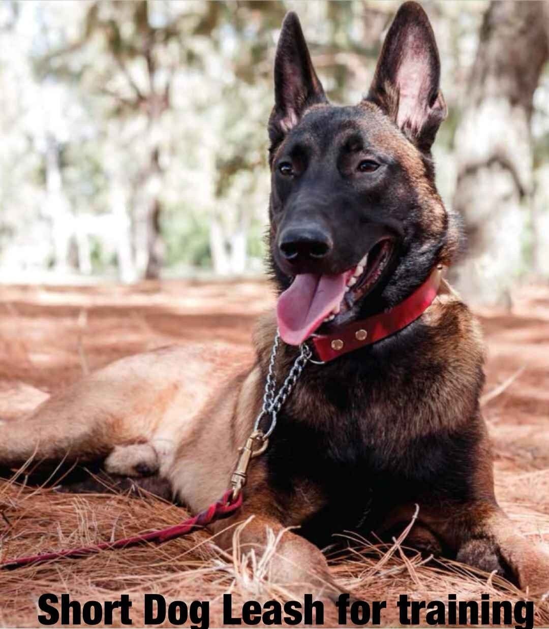 Dog Short Leash Training, Short Leash for Dog, Leash - Etsy