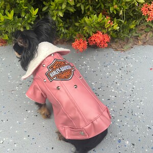 Dog Motorcycle Jacket, Chopper Jacket - Etsy