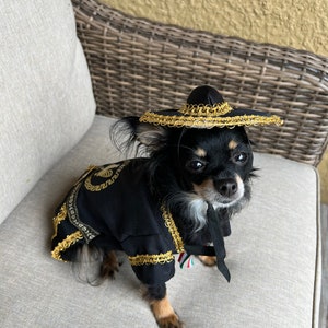 Handmade Mariachi Dog Costume With Sombrero: Cinco De Mayo Outfit - Etsy