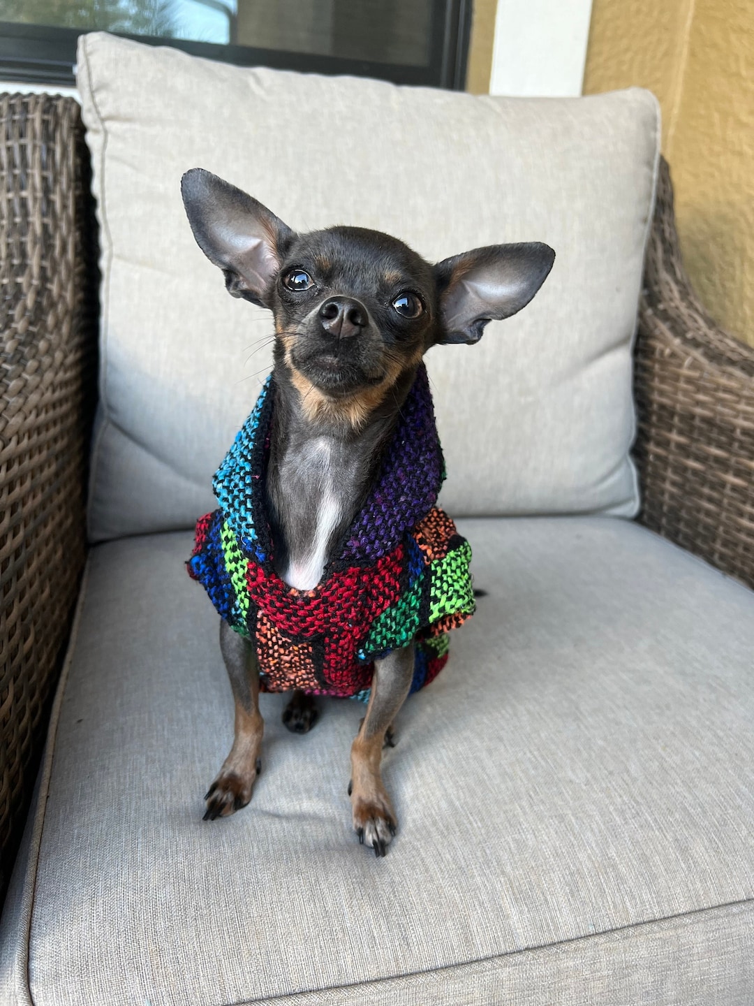 Baja Dog Poncho SIZE 0-mexican Dog Hoodie-mexican Poncho -dog Sweater ...