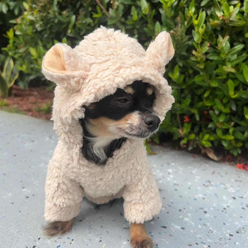 Furry Costume Sheep - Etsy