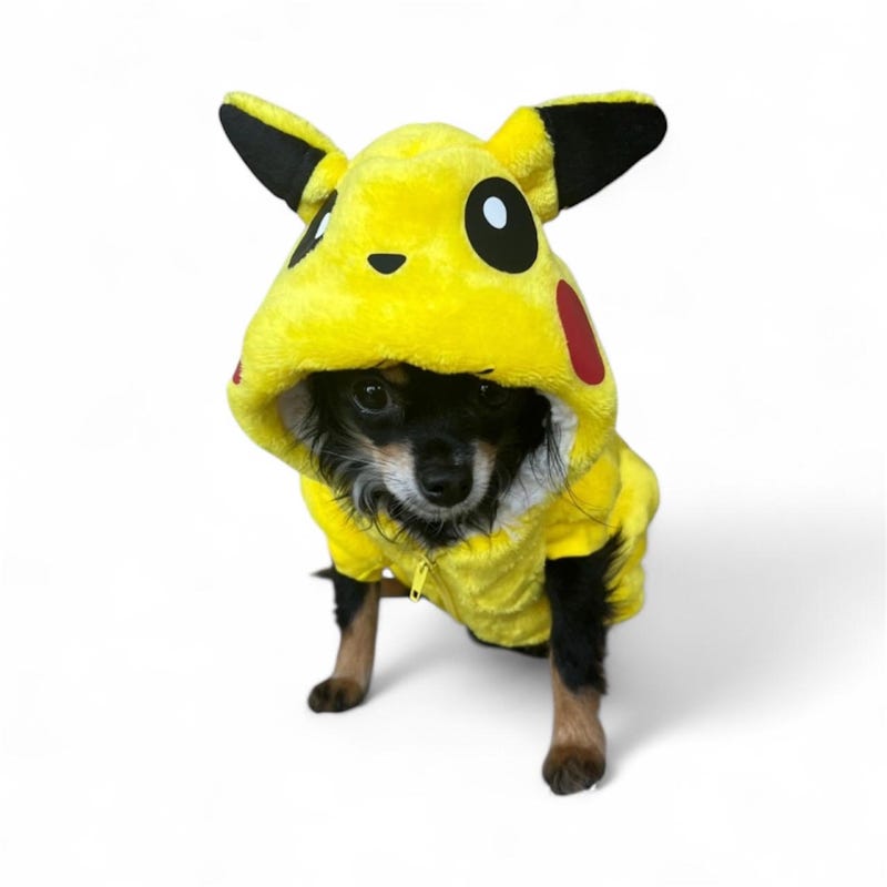 Pikachu Dog Costume - Etsy