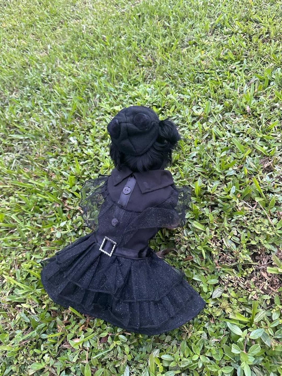 Wednesday Addams Dog Costume: Black Tulle Pet Dress - Etsy