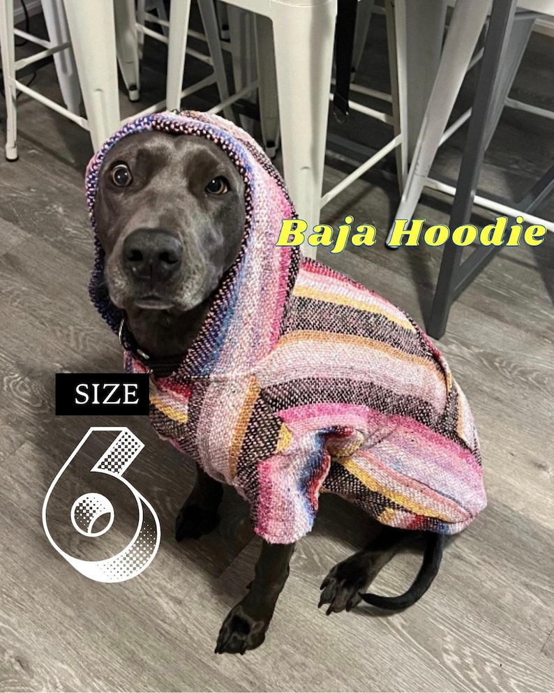 Authentic Baja Dog Hoodie, Colorful Mexican Serape Pet Sweater, Woven ...