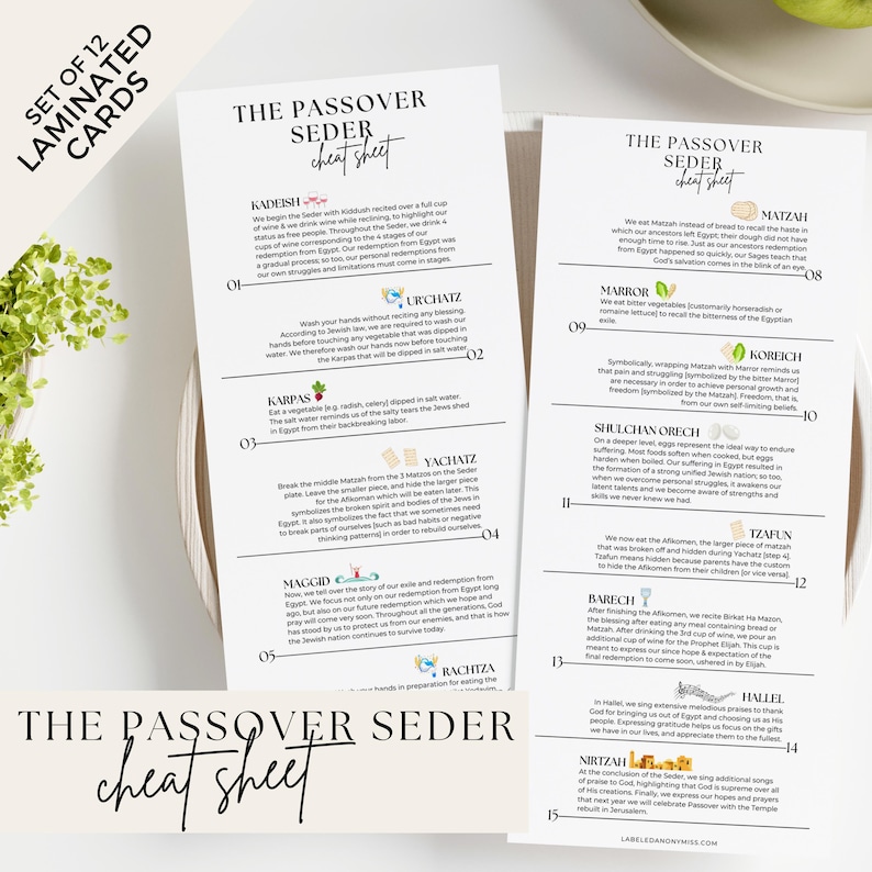 Passover Seder Cheat Sheet Set of 8, Pesach Seder Haggadah Guide ...
