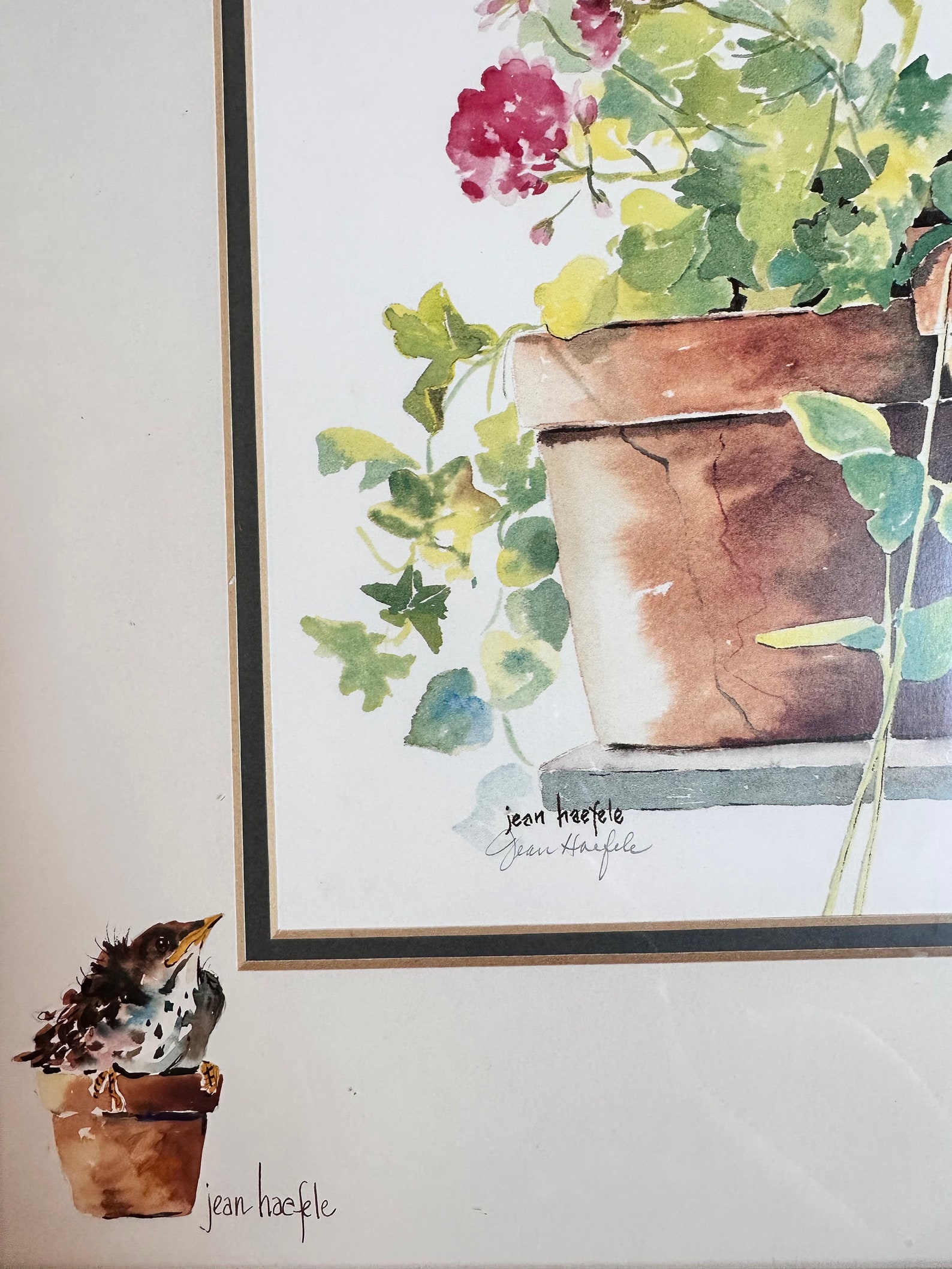 Watercolor Limited Edition Bird Watercolor by Jean Haefele - Etsy