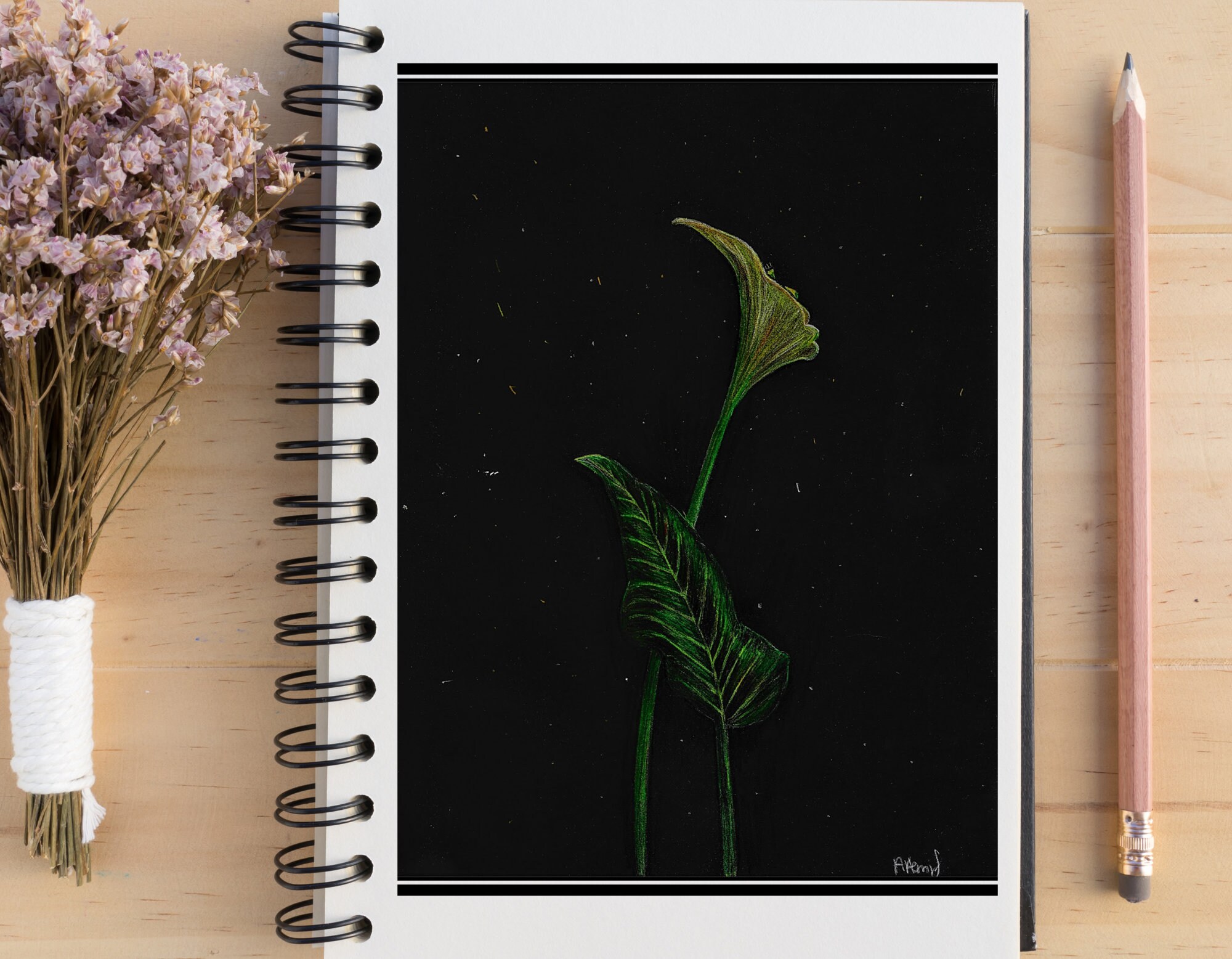 Moonflower Color Pencil Drawing Print, Hidden Image, Face in Flower ...