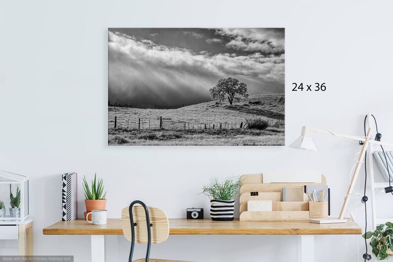 Black & White, Marine Layer Fog Cloud Sunshine Stanford Dish Trail ...