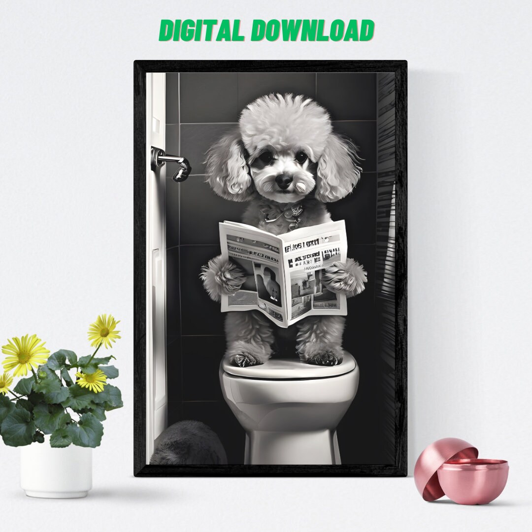 Poodle Sitting on the Toilet Reading a Newspaper, Funny Bathroom Wall ...