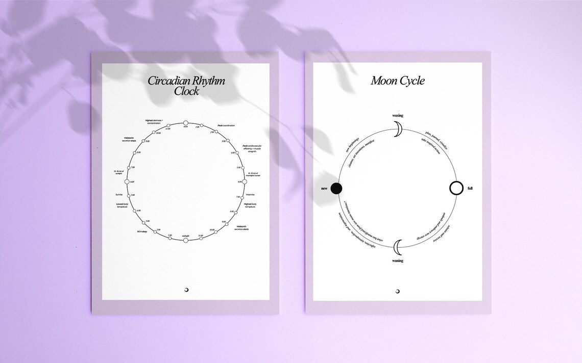 Moon Cycle and Circadian Rhythm Clock Charts Printable - Etsy