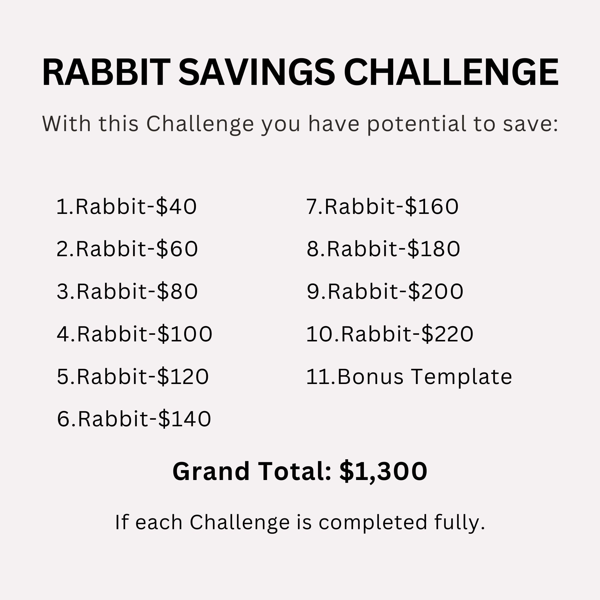Rabbit Savings Challenge Printable, A6 Mini Bunny Saving Challenge ...