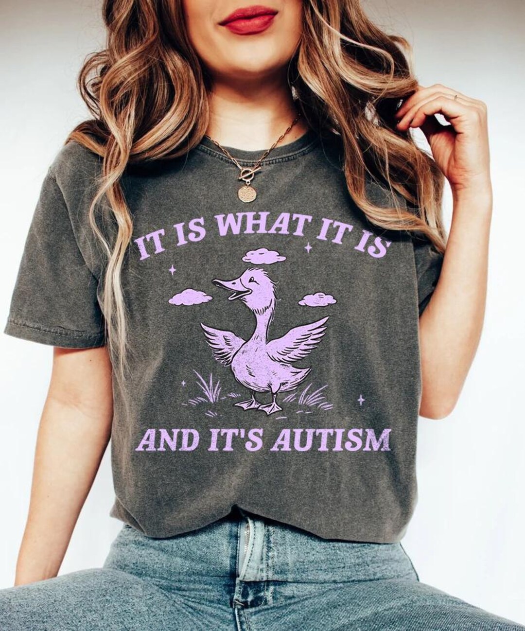 It is What It is and It's Autism Vintage Style Shirt Funny Goose Shirt ...