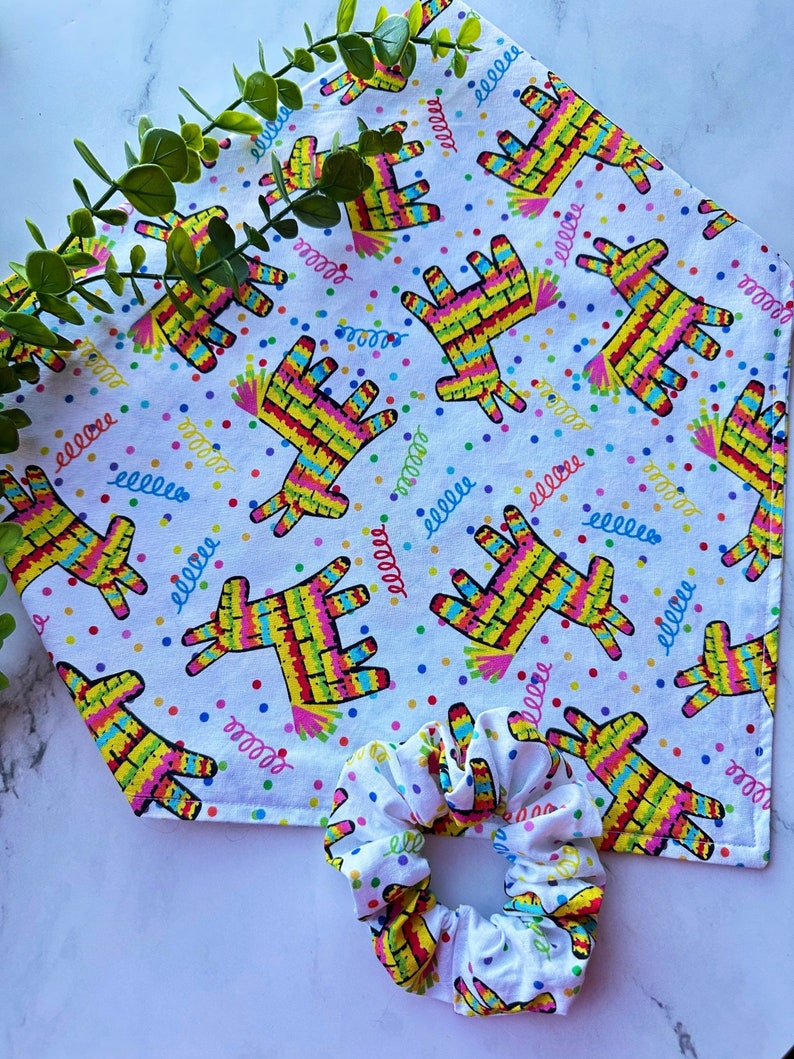 Piñata Confetti Birthday Dog Bandana & Matching Scrunchie - Etsy