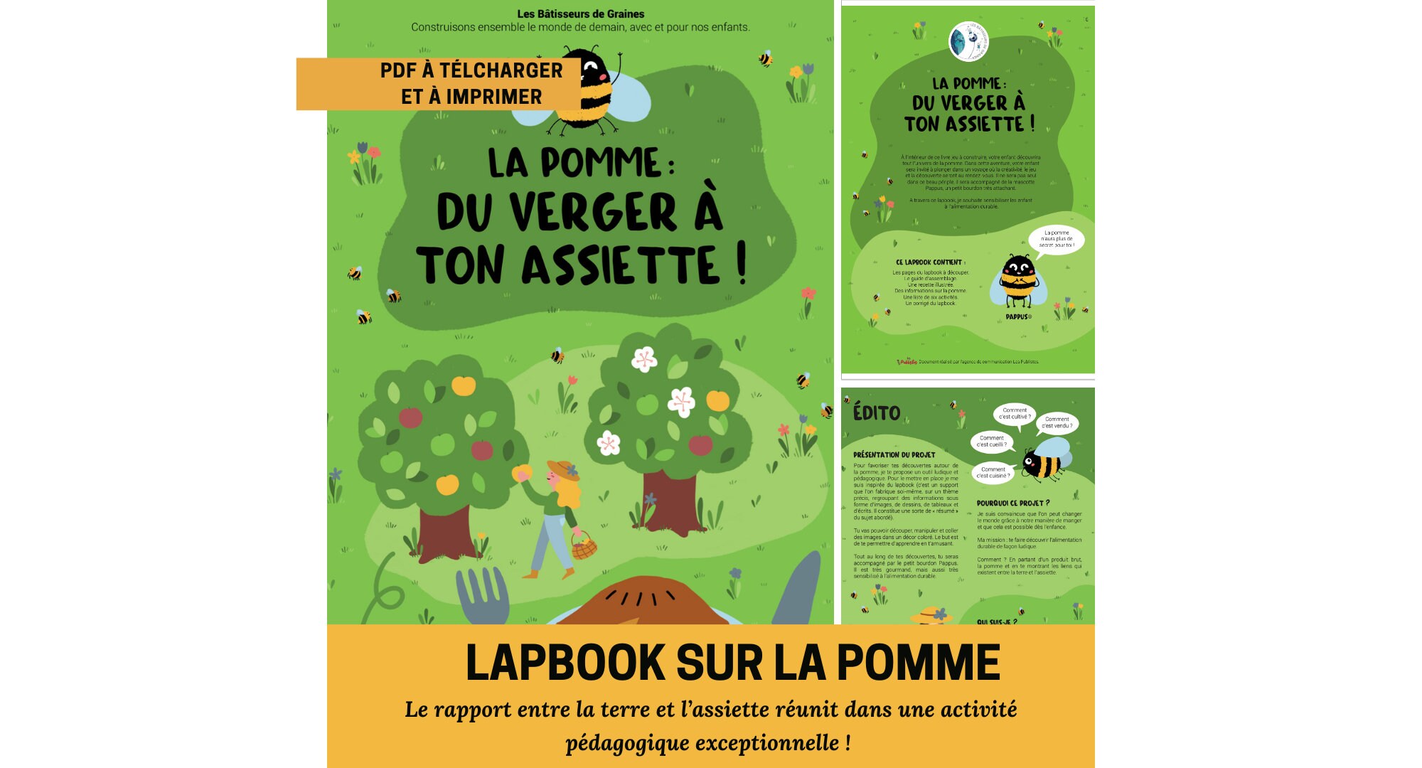 Printable Sustainable Food Lapbook, Fall Educational Resource, Kids ...