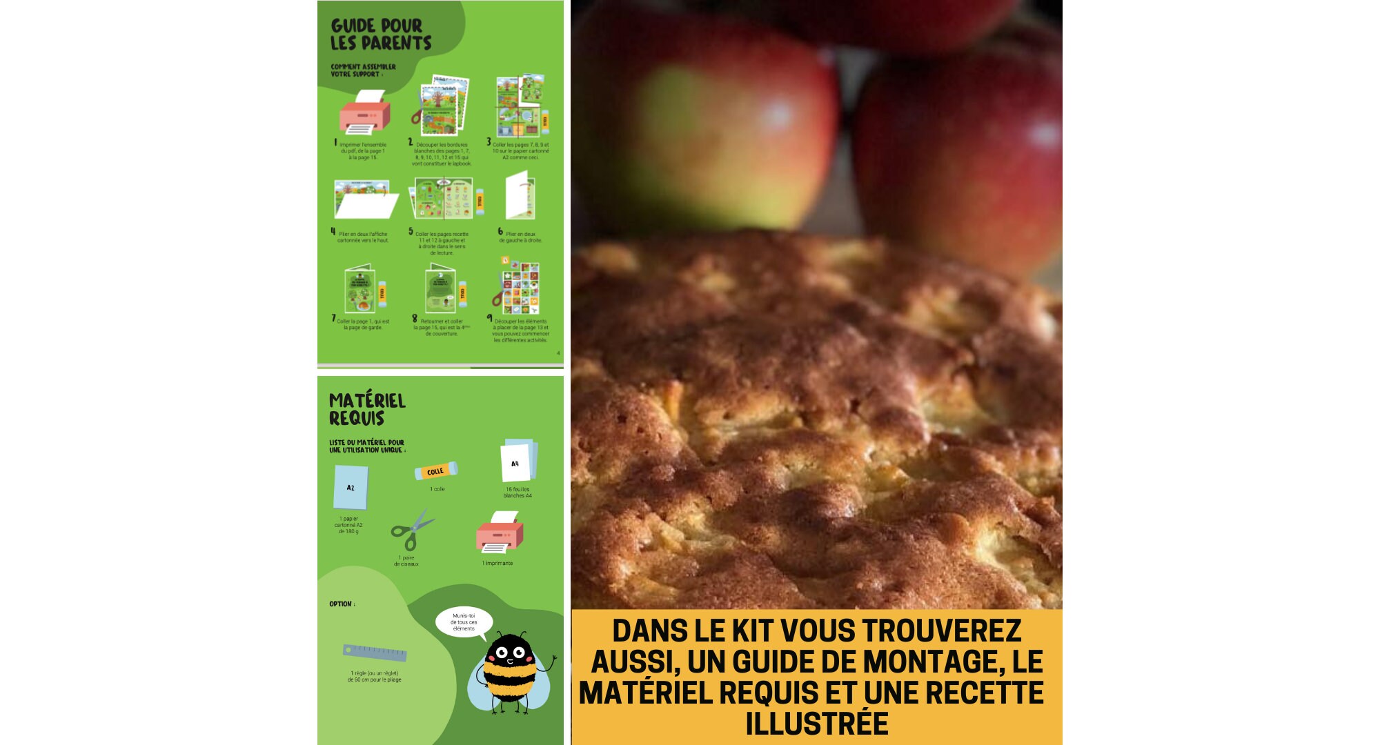 Printable Sustainable Food Lapbook, Fall Educational Resource, Kids ...