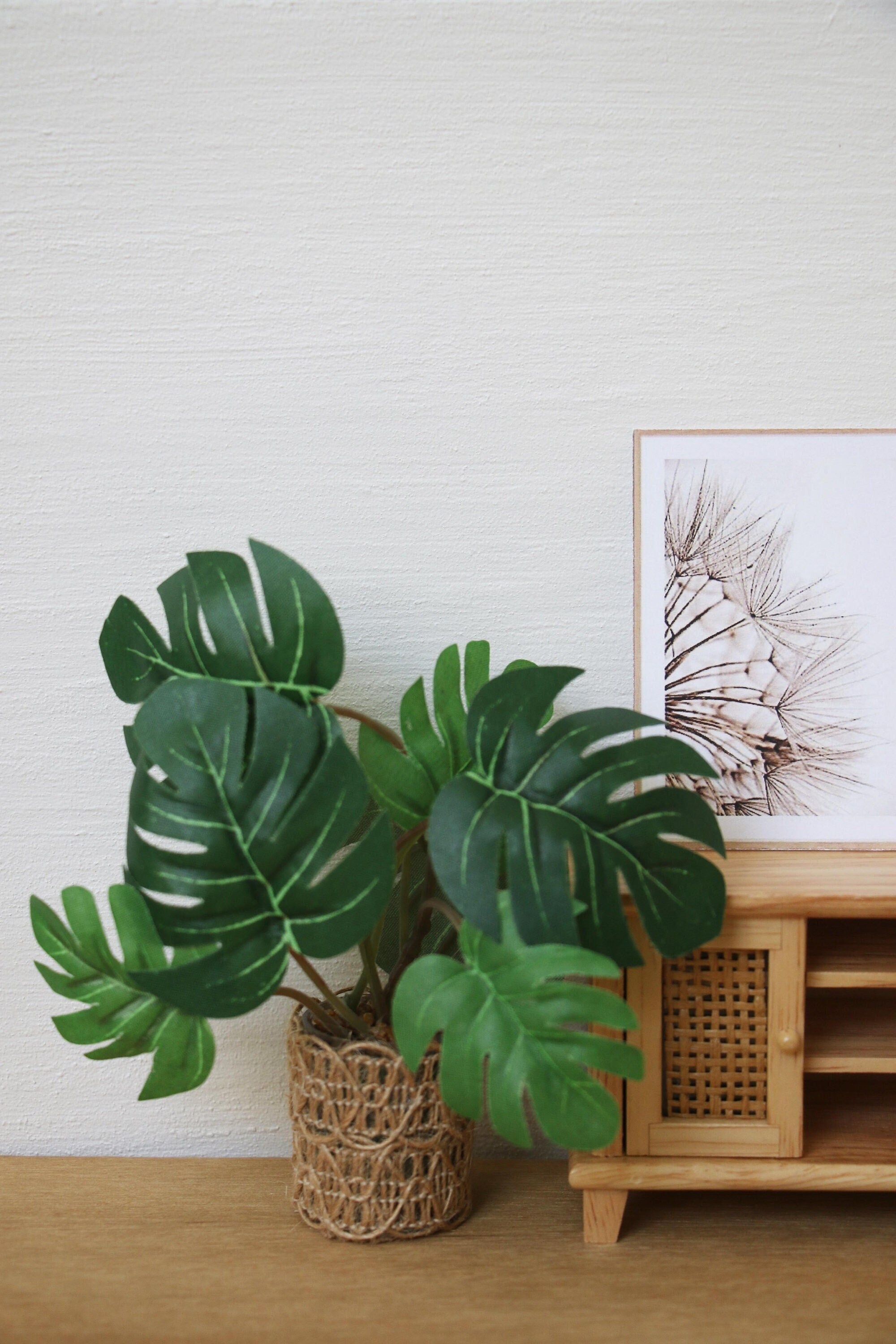 Miniature Dollhouse Monstera Large Leaf Tropical Plant - Etsy