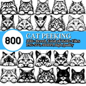 800 Cat Peeking SVG Bundle File, 200 Breeds Collection, Cat Clipart for ...