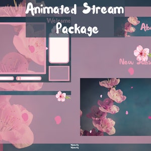 Animated Stream Package - Etsy
