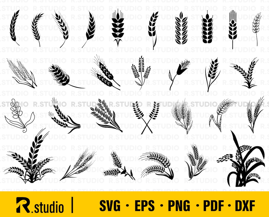 30 Wheat SVG/ Grain Svg/ Wheat Clipart/ Cut Files/ Cricut/ Wheat ...