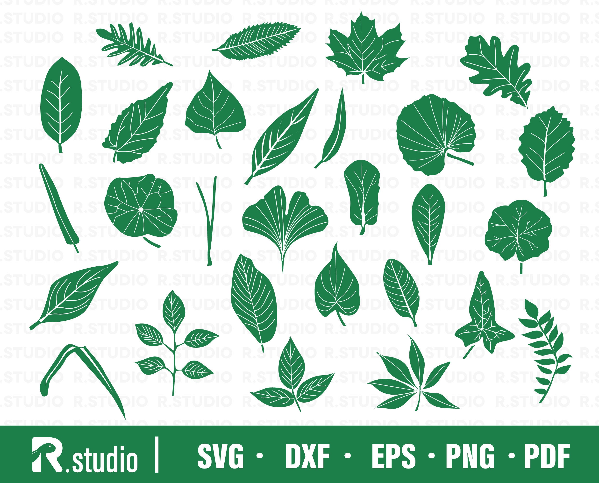 Hojas SVG Bundle/ Hojas SVG/ Planta Svg/ Hojas De Papel/ - Etsy México