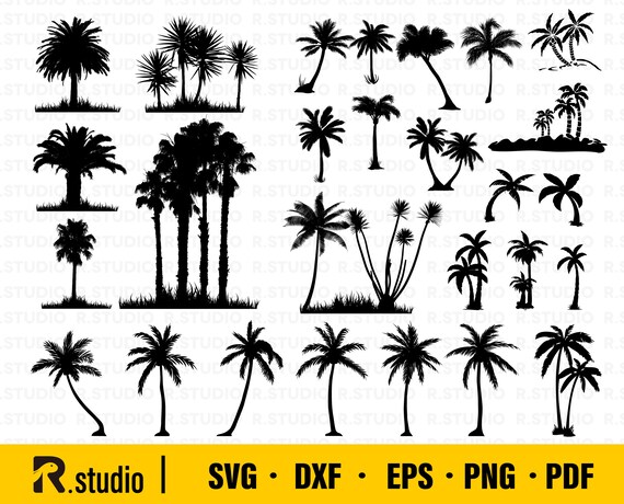 Palm Tree SVG / Palm Tree Clipart/ Palm Cut Files/ Beach Palm - Etsy
