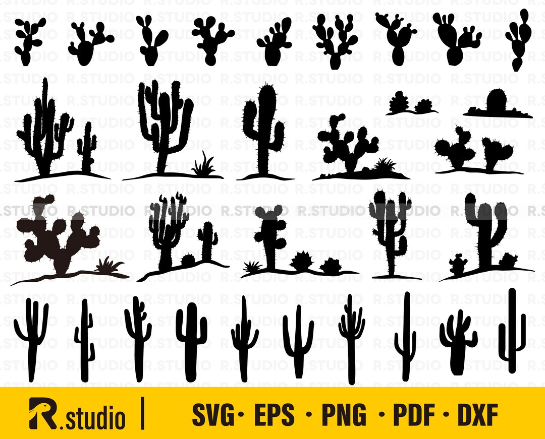 31 Cactus Svg Bundle/ Desert Cacti Plants/ Cactus Vector/ Cactus ...