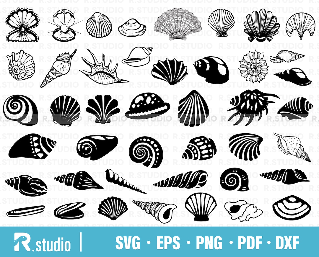 42 Shell SVG Files/ Seashell SVG/ Clipart/ Clam Svg/ Scallop Svg/ Ocean ...