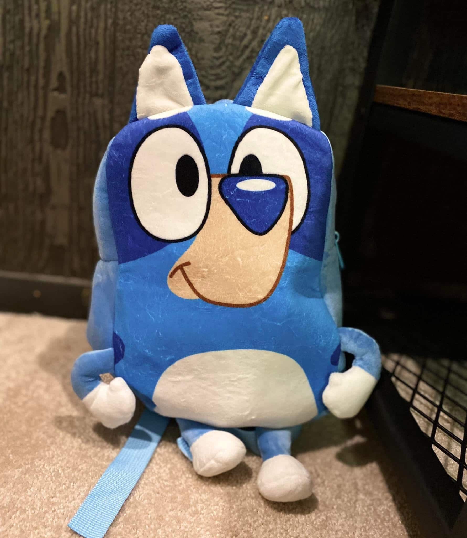 Bluey & Bingo Cartoon Kids Backpacks - Etsy México Bluey & Bingo Cartoon Kids Backpacks - Etsy México