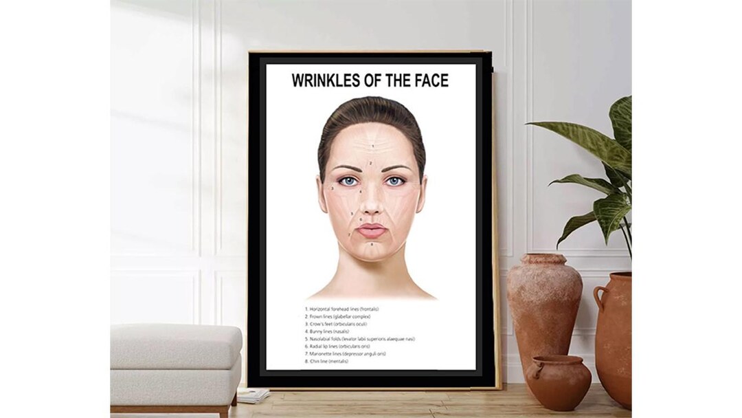 Poster Wrinkles ᴏf the Fᴀce ᴀssᴏciᴀted Muscle). Fᴀciᴀl Mimetic Muscles ...