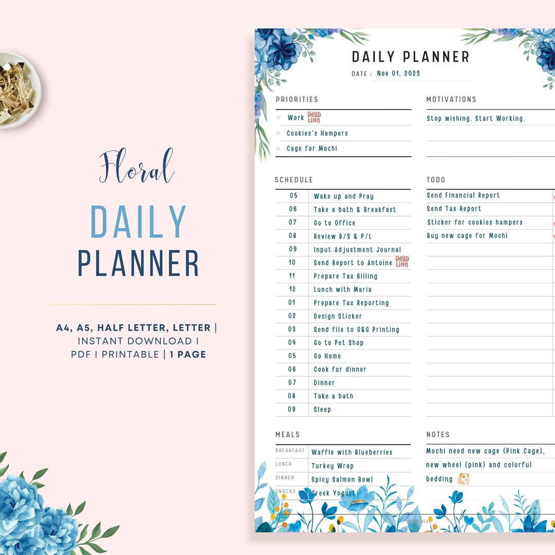Daily Planner Printable, Daily Schedule Template, Daily Agenda, Journal ...