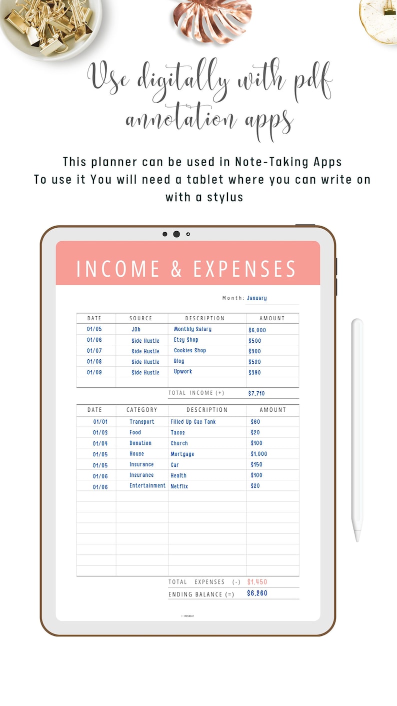 Income and Expense Tracker Template Printable, Income and Expenses in ...