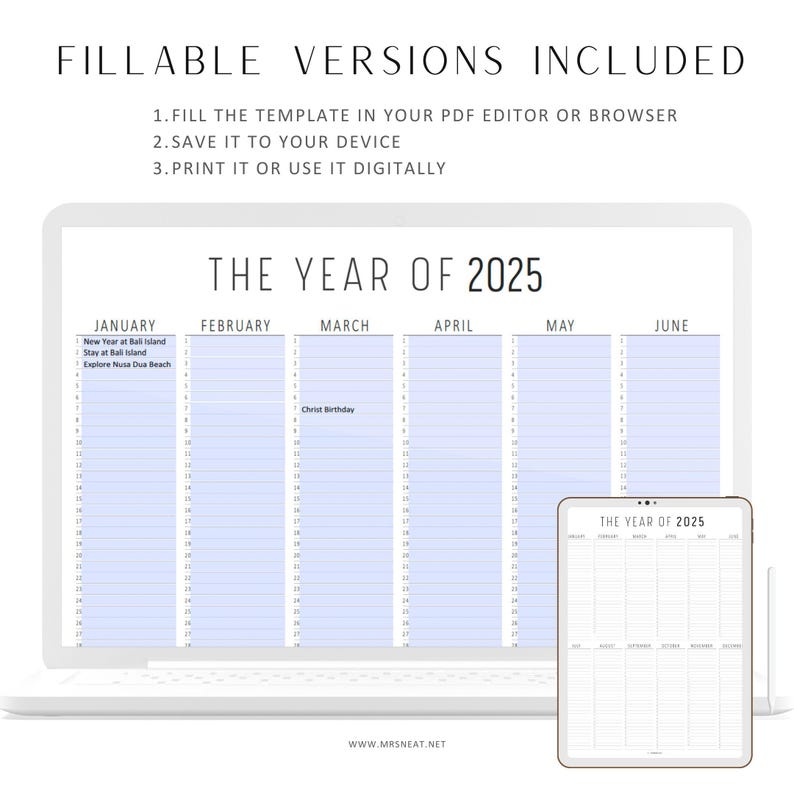 Fillable Year at A Glance, 2025 Yearly Plan on One Page, Printable ...